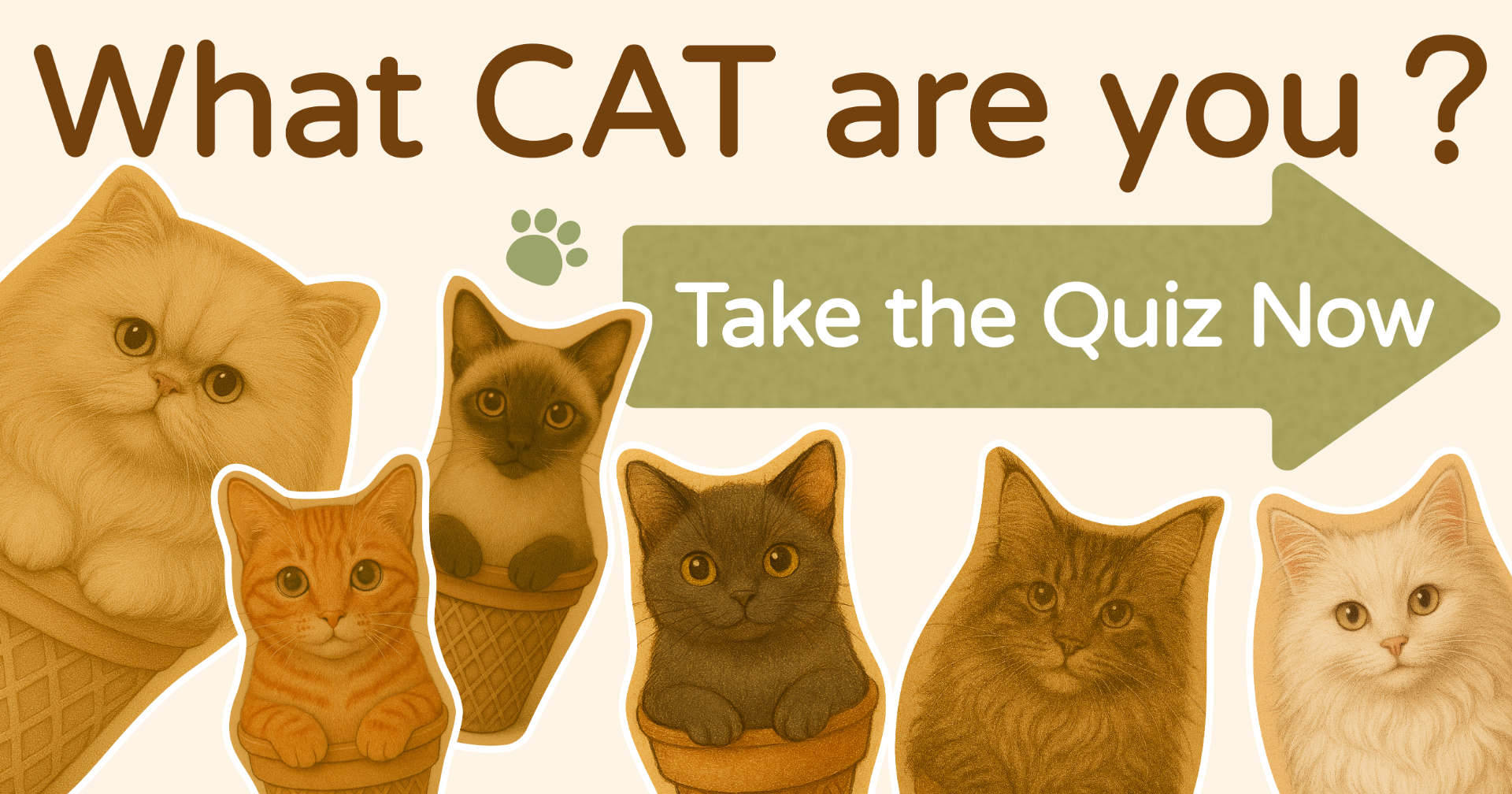 What Cat Are You? | Find Your 16 Personality Types Cat Type 🐱